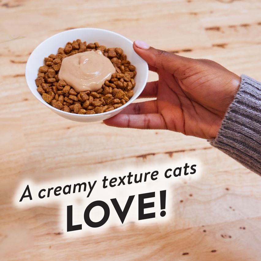 Temptations Creamy Puree with Beef Liver Lickable Cat Treats, 4-Pack of ...